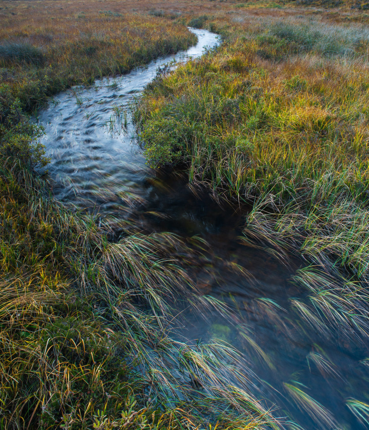 Competition Results 2021 - Natural Landscape Photography Awards