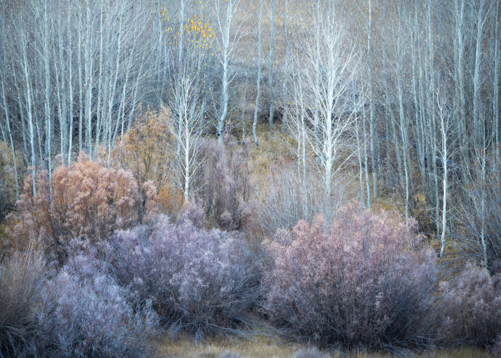 Competition Results 2021 - Natural Landscape Photography Awards
