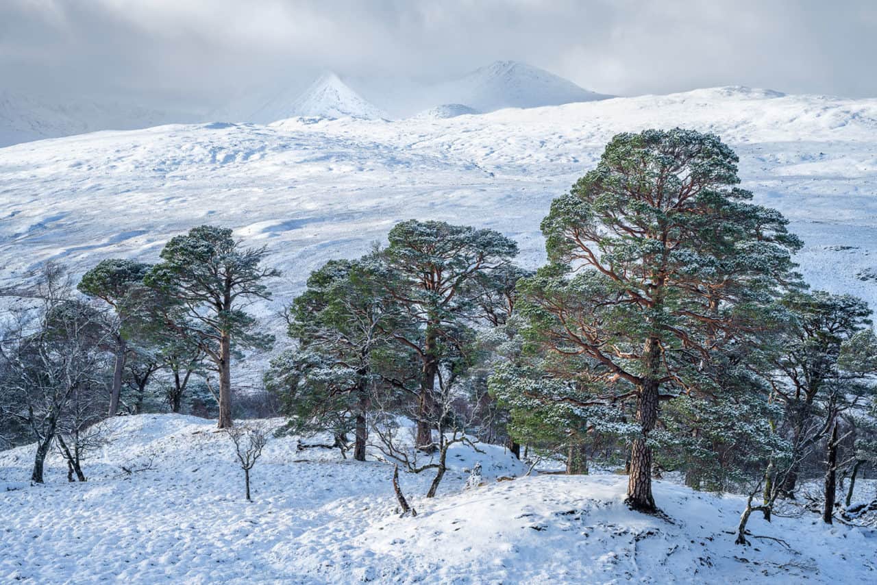 Competition Results - 2022 - Natural Landscape Photography Awards